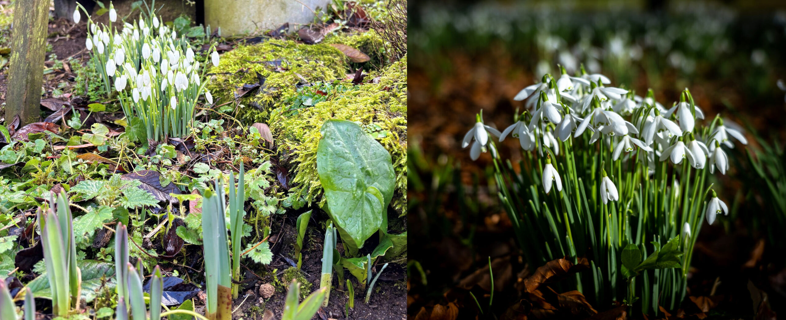 All good things... free magazine to try – Bustle & Sew